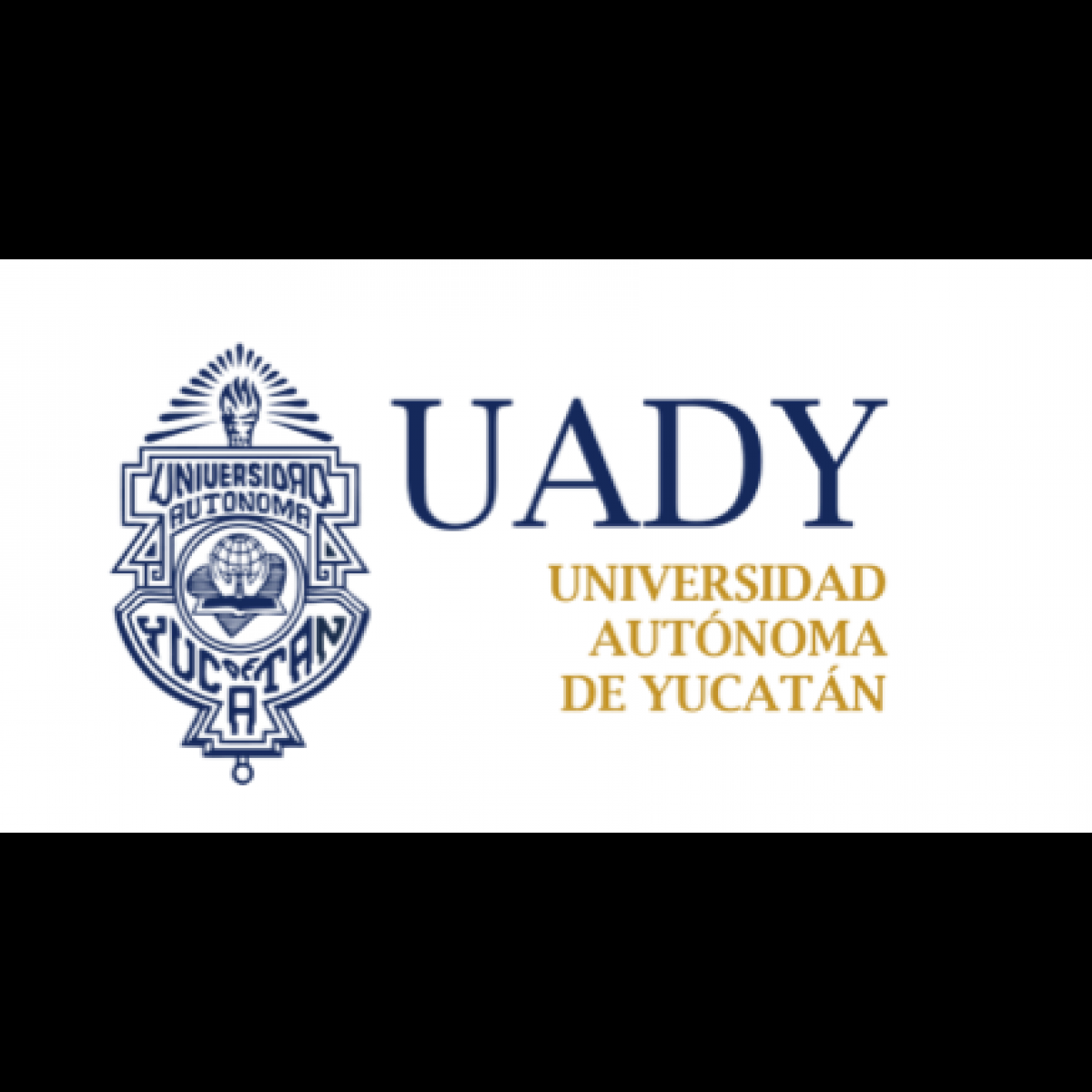 Uady Transparente Logo