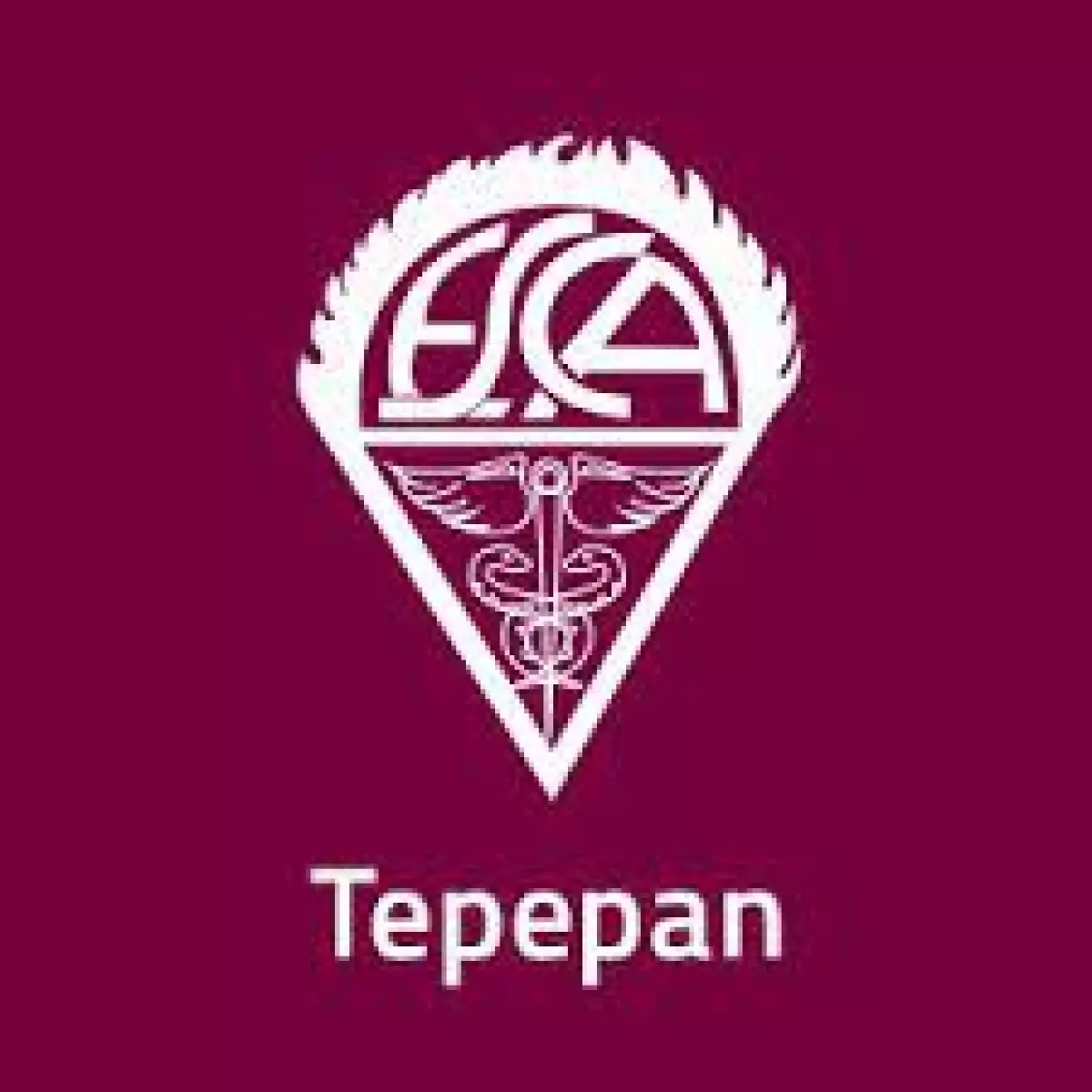 Esca Tepepan Logo AIDA CruiseTour