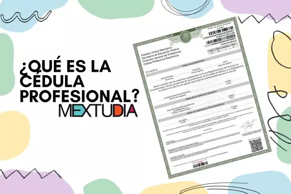 ¿Qué es la cédula profesional? - Cómo sacarla paso a paso