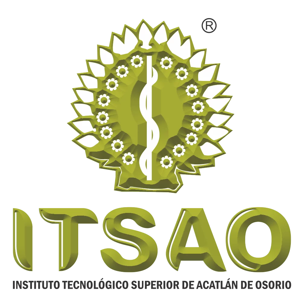 Estudiar en el ITSAO Costos y carreras 2025